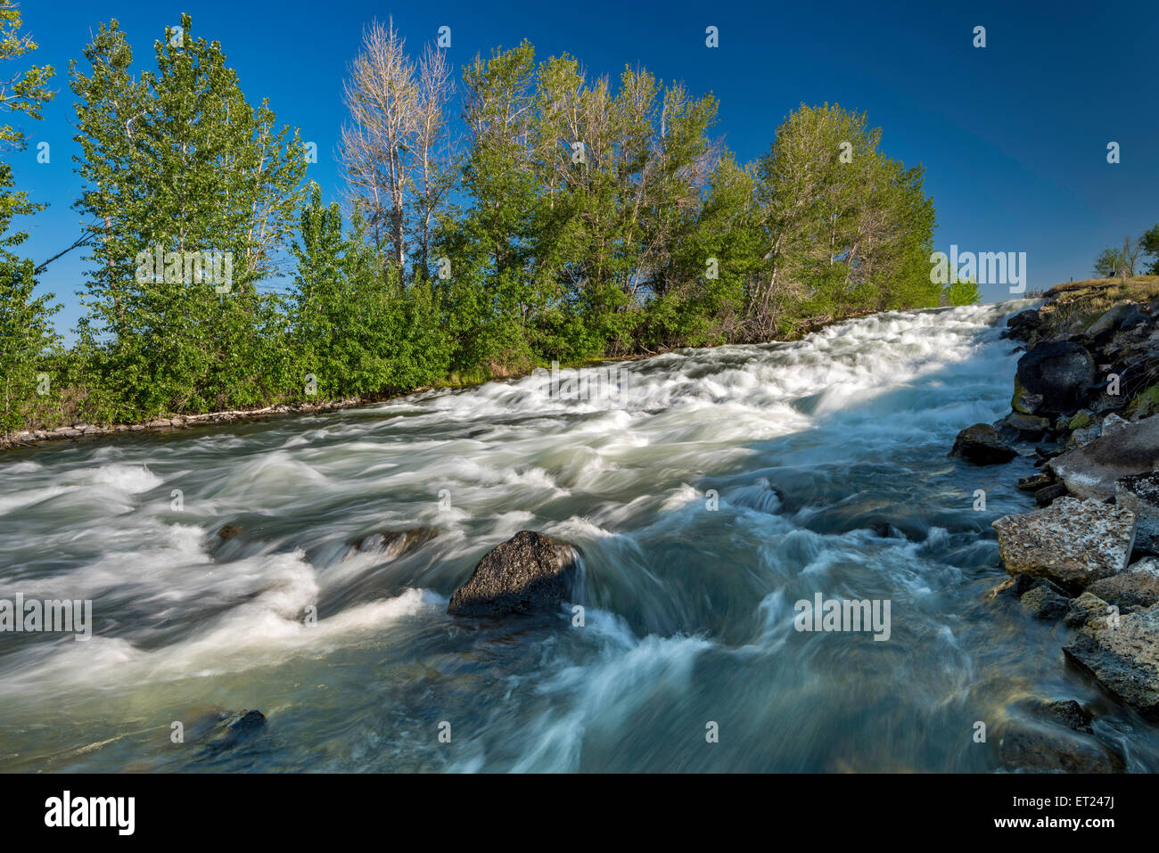 River runs through rocks and trees Stock Photo - Alamy