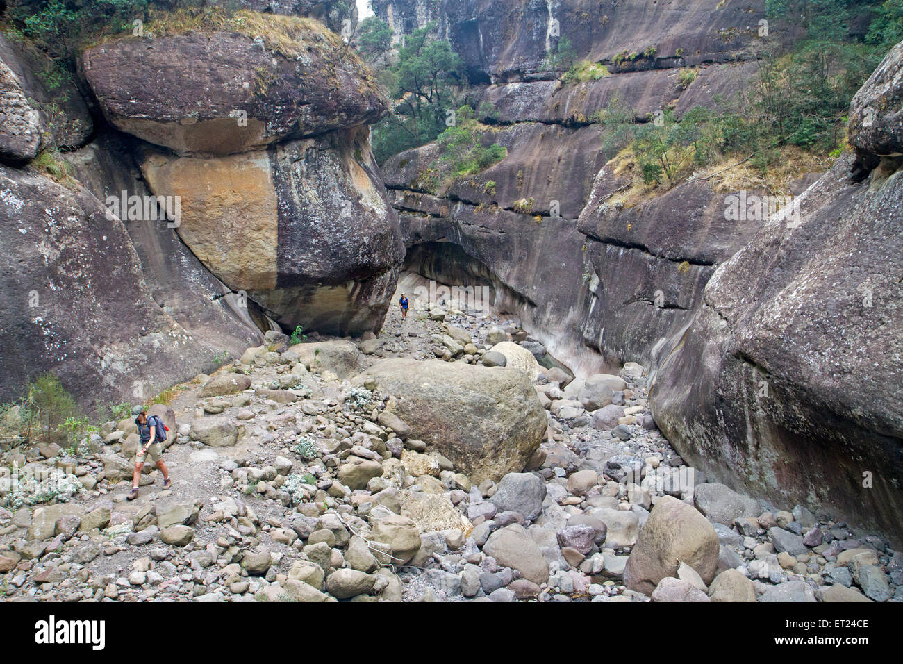 Hiker in the Amphitheatre in the Drakensberg Mountains Stock Photo - Alamy