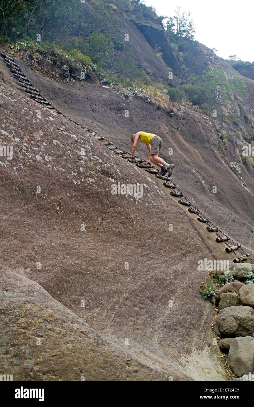Chain ladder in the Amphitheatre in the Drakensberg Mountains Stock ...