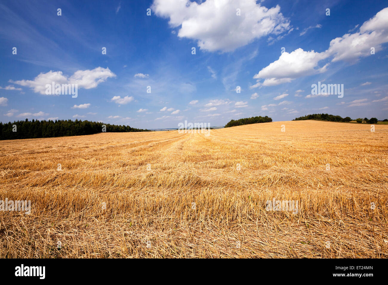 Slanted land hi-res stock photography and images - Alamy
