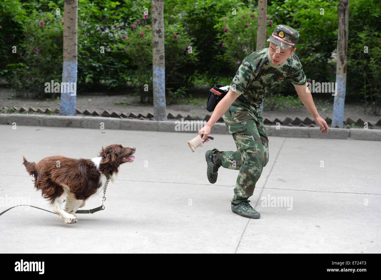 Harbin, China's Heilongjiang Province. 10th June, 2015. A handler ...