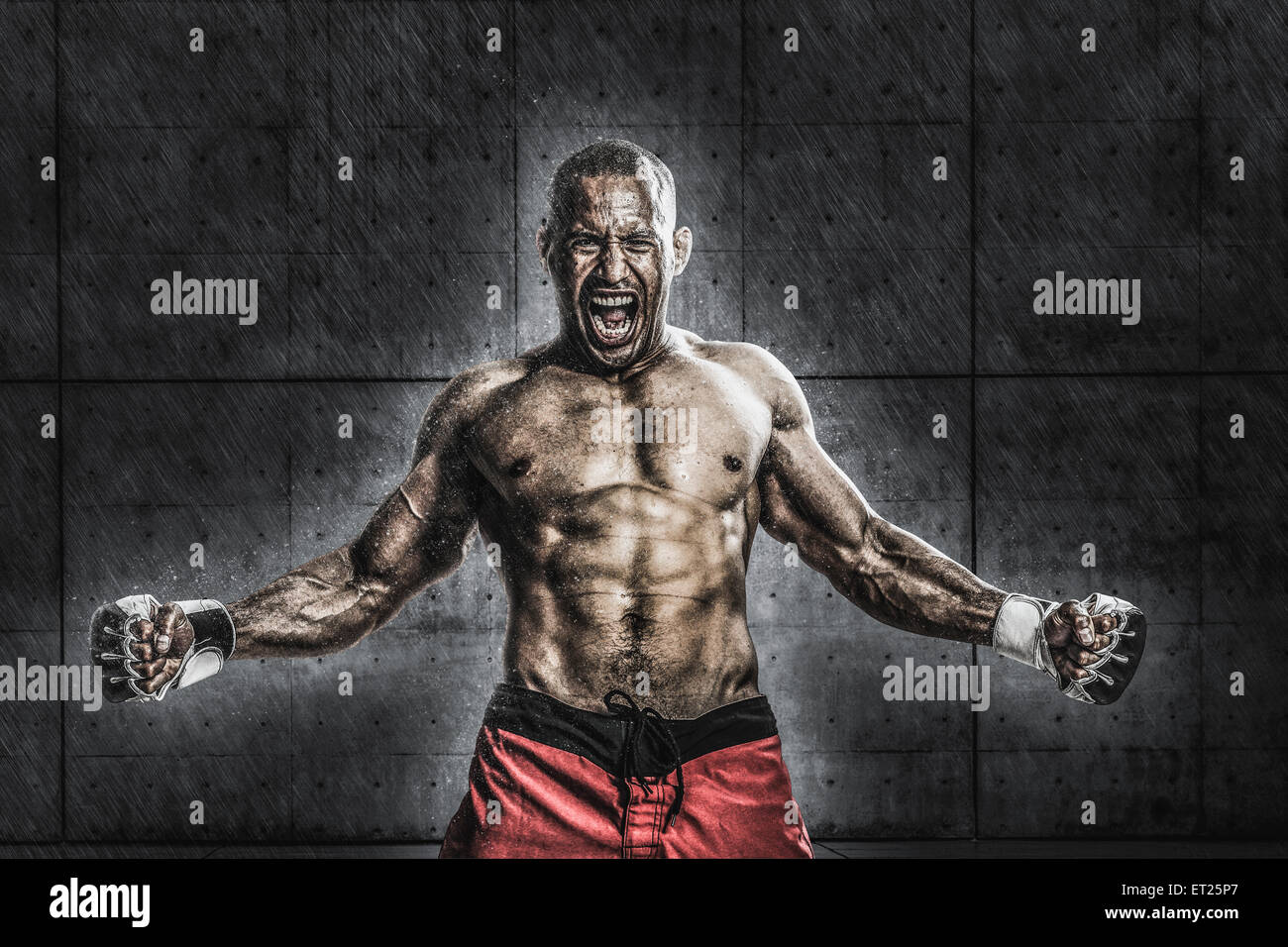 Fighting pose hi-res stock photography and images - Alamy