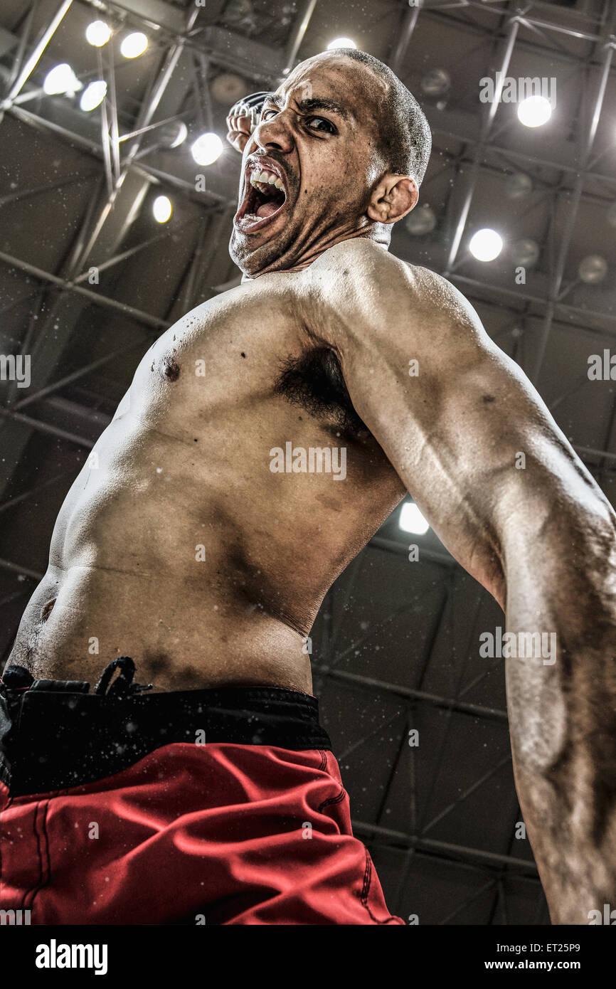Bald male athlete in a fighting pose Stock Photo - Alamy