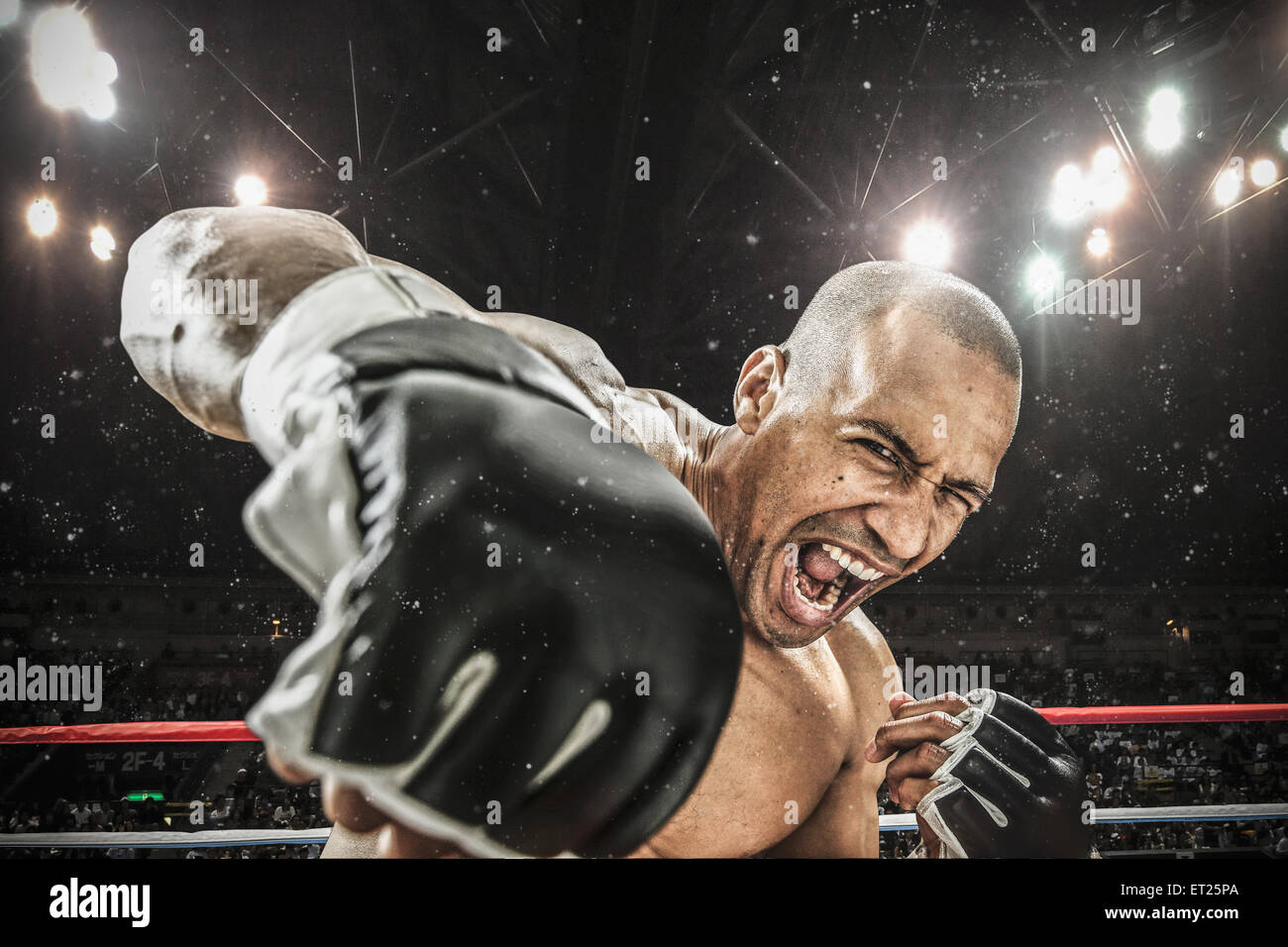 Men fist fighting hi-res stock photography and images - Alamy