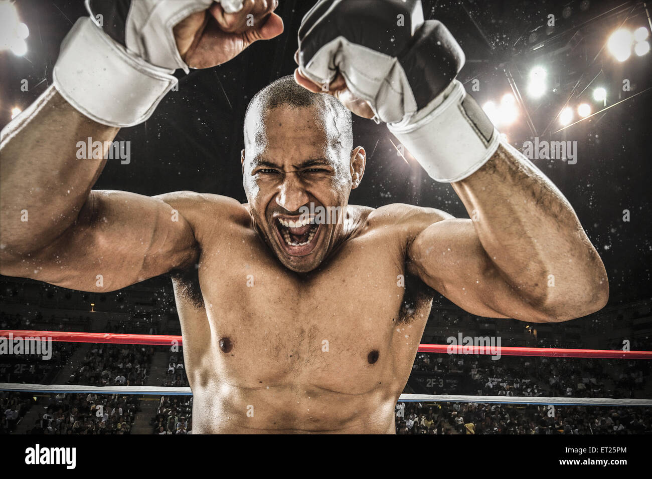 Fighting pose hi-res stock photography and images - Alamy