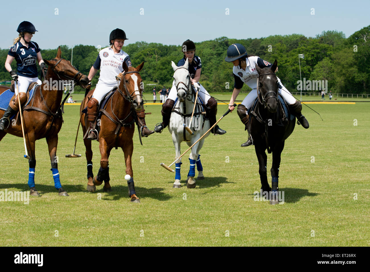 University students polo match Stock Photo - Alamy