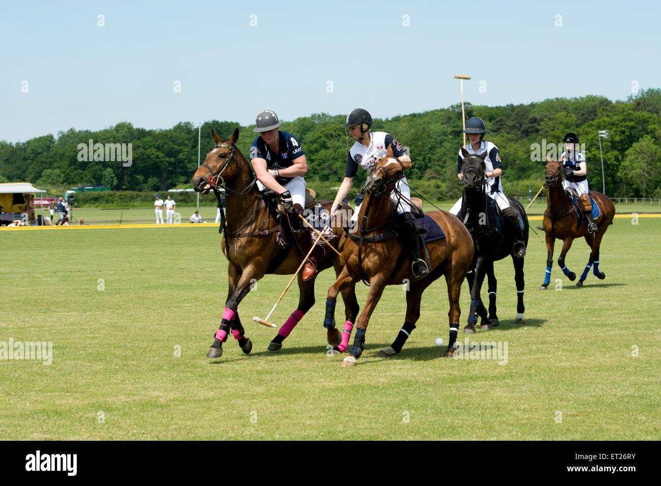 University students polo match Stock Photo - Alamy