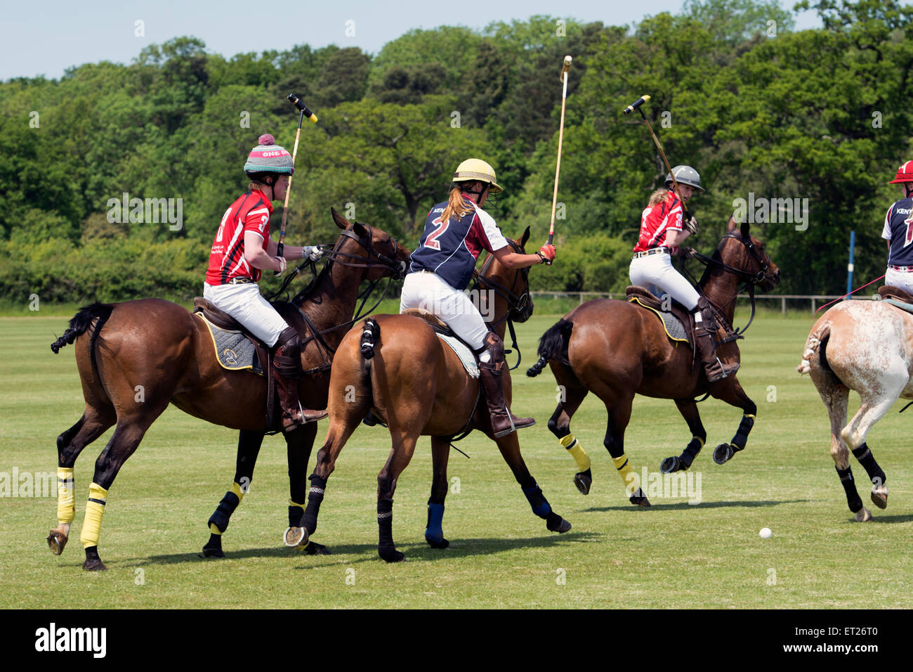 University students polo match Stock Photo - Alamy