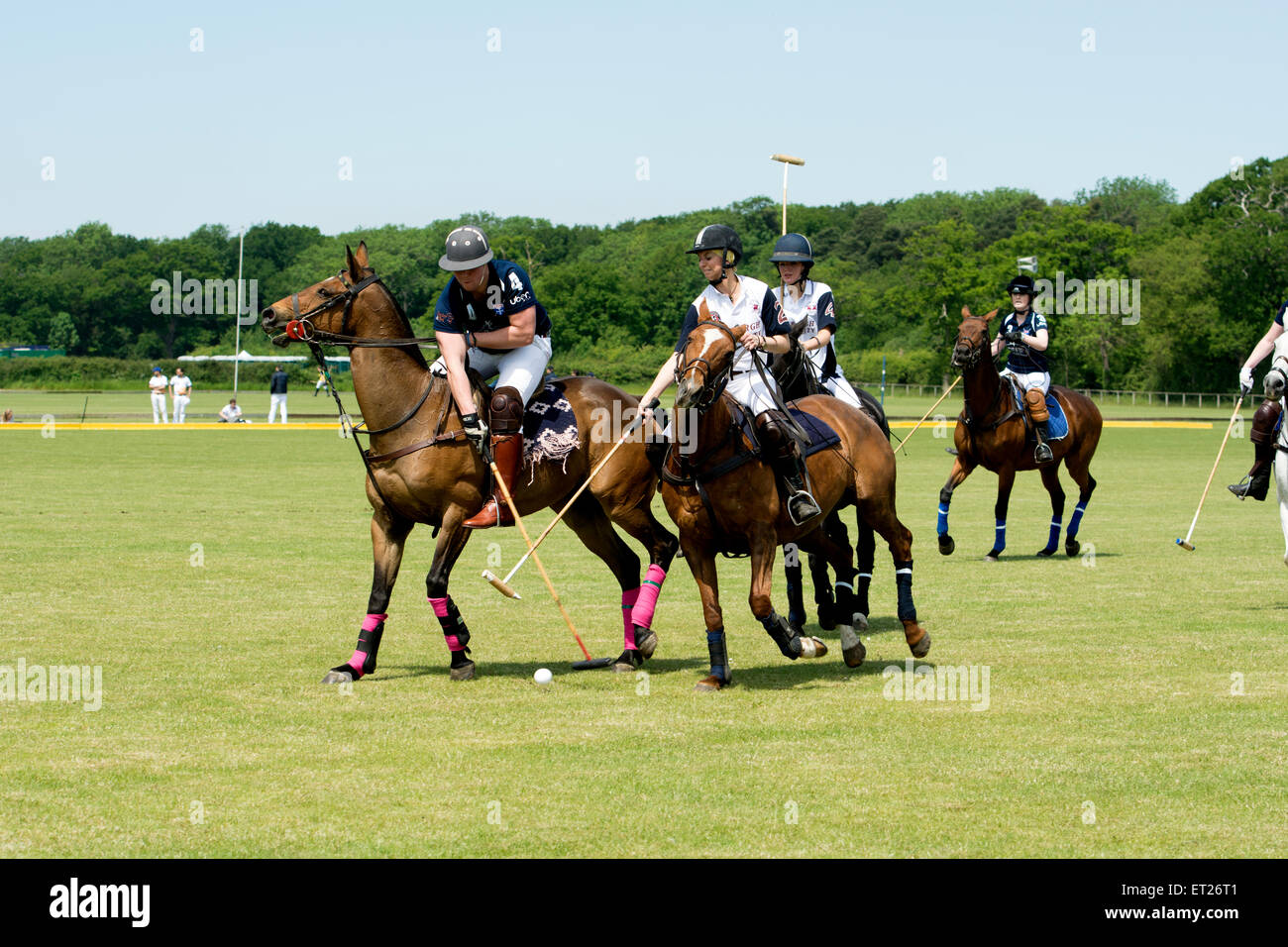 University students polo match Stock Photo - Alamy