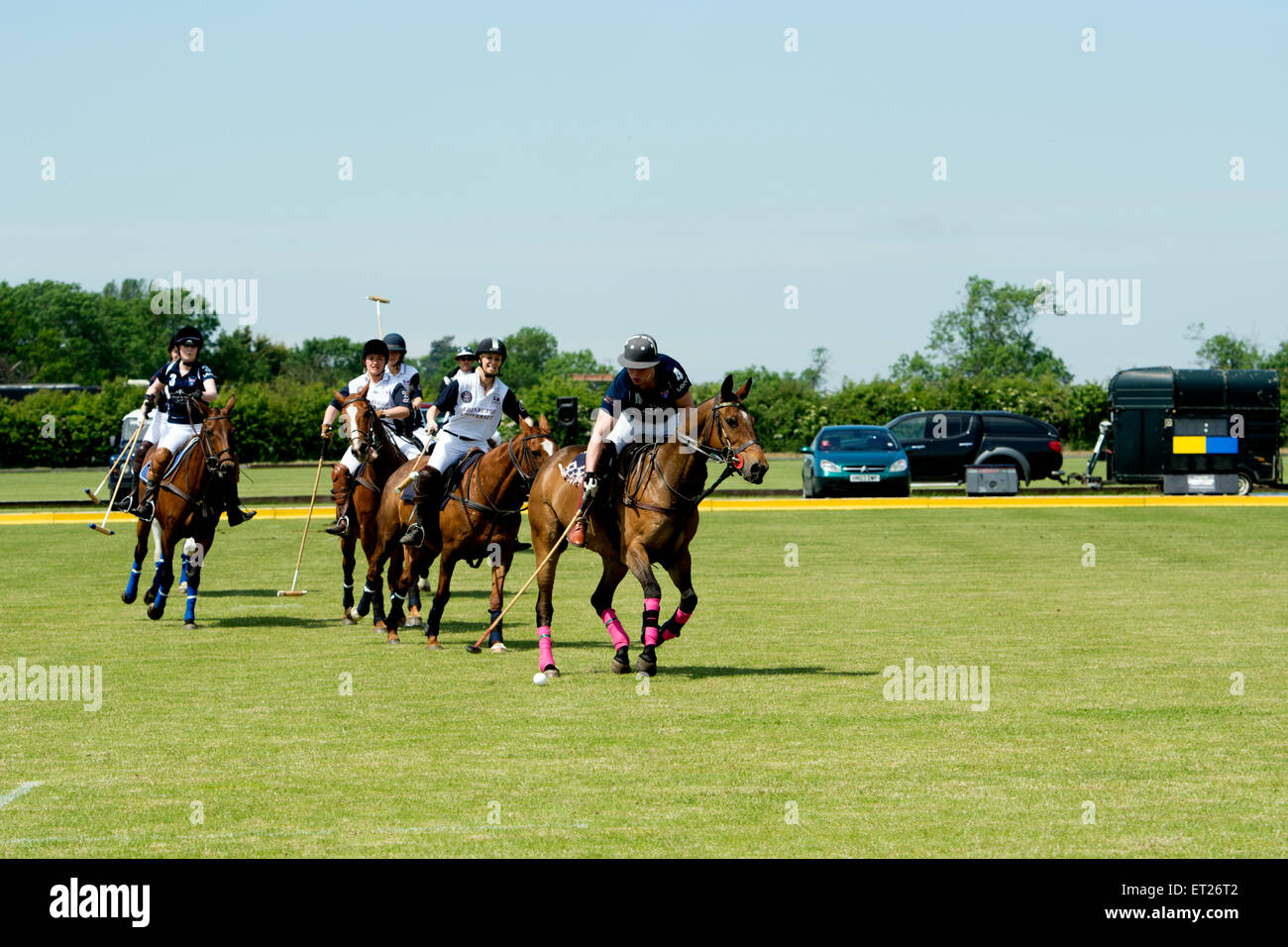 University students polo match Stock Photo - Alamy