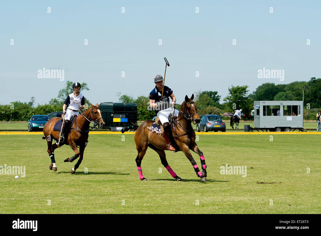 University students polo match Stock Photo - Alamy