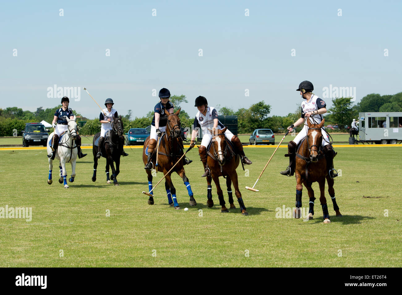 University students polo match Stock Photo - Alamy