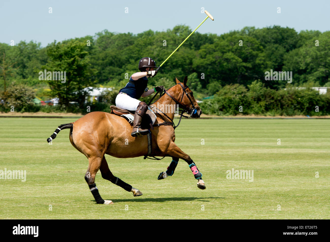 University student polo player Stock Photo - Alamy