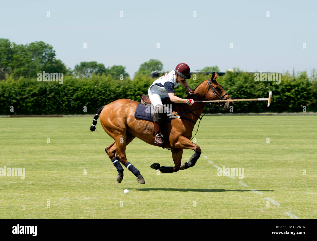 Polo player hi-res stock photography and images - Alamy