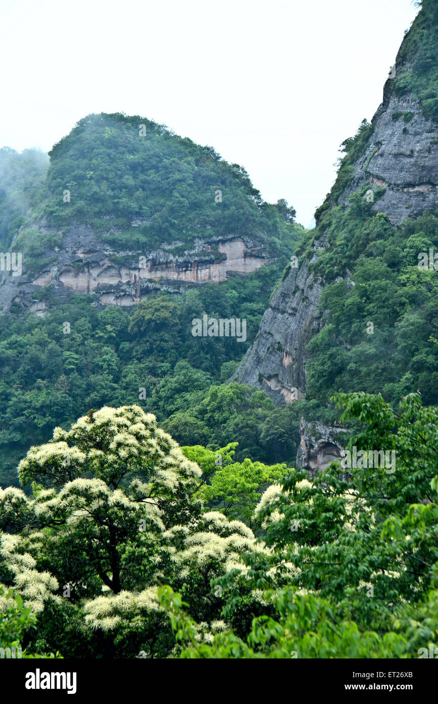 unusual Wuyi mountain peaks Stock Photo - Alamy