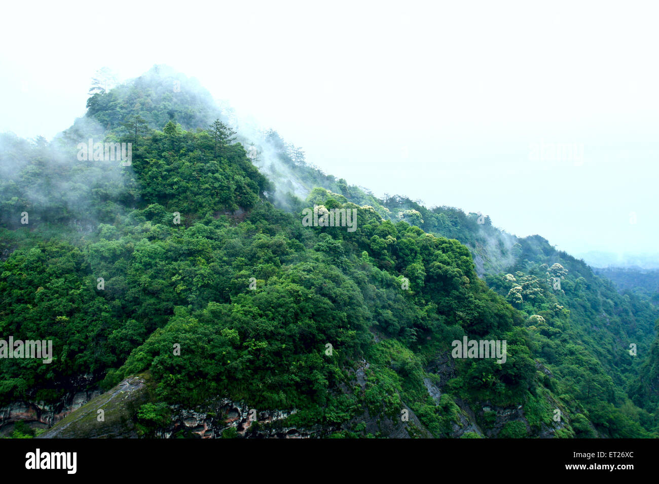 unusual Wuyi mountain peaks Stock Photo - Alamy
