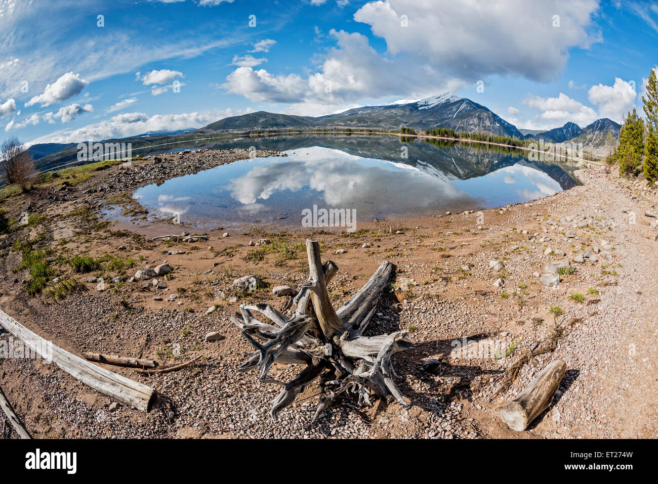 Fishing lake shore with log and reflections Stock Photo - Alamy