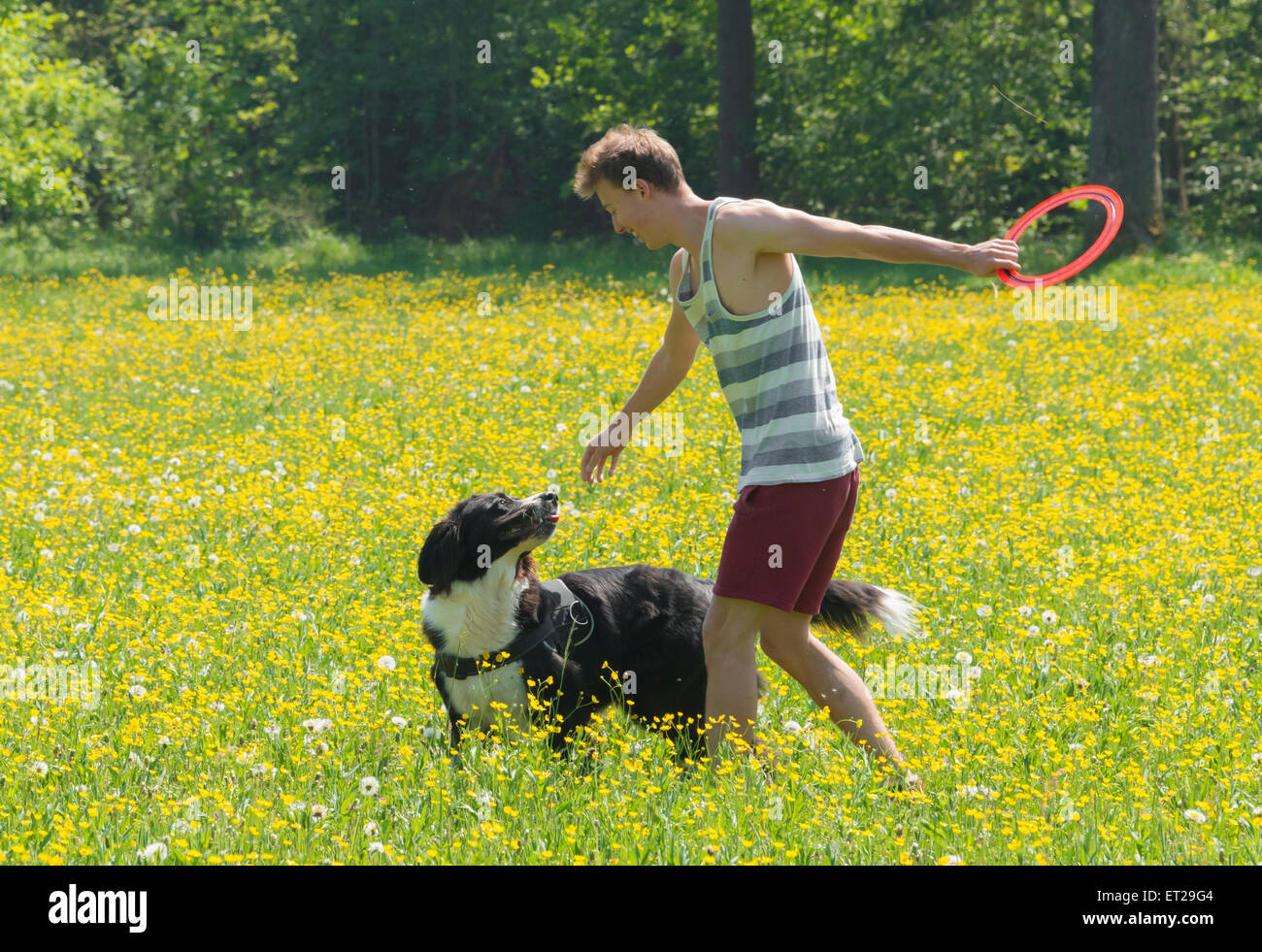 Man With Border Collie High Resolution Stock Photography and Images - Alamy