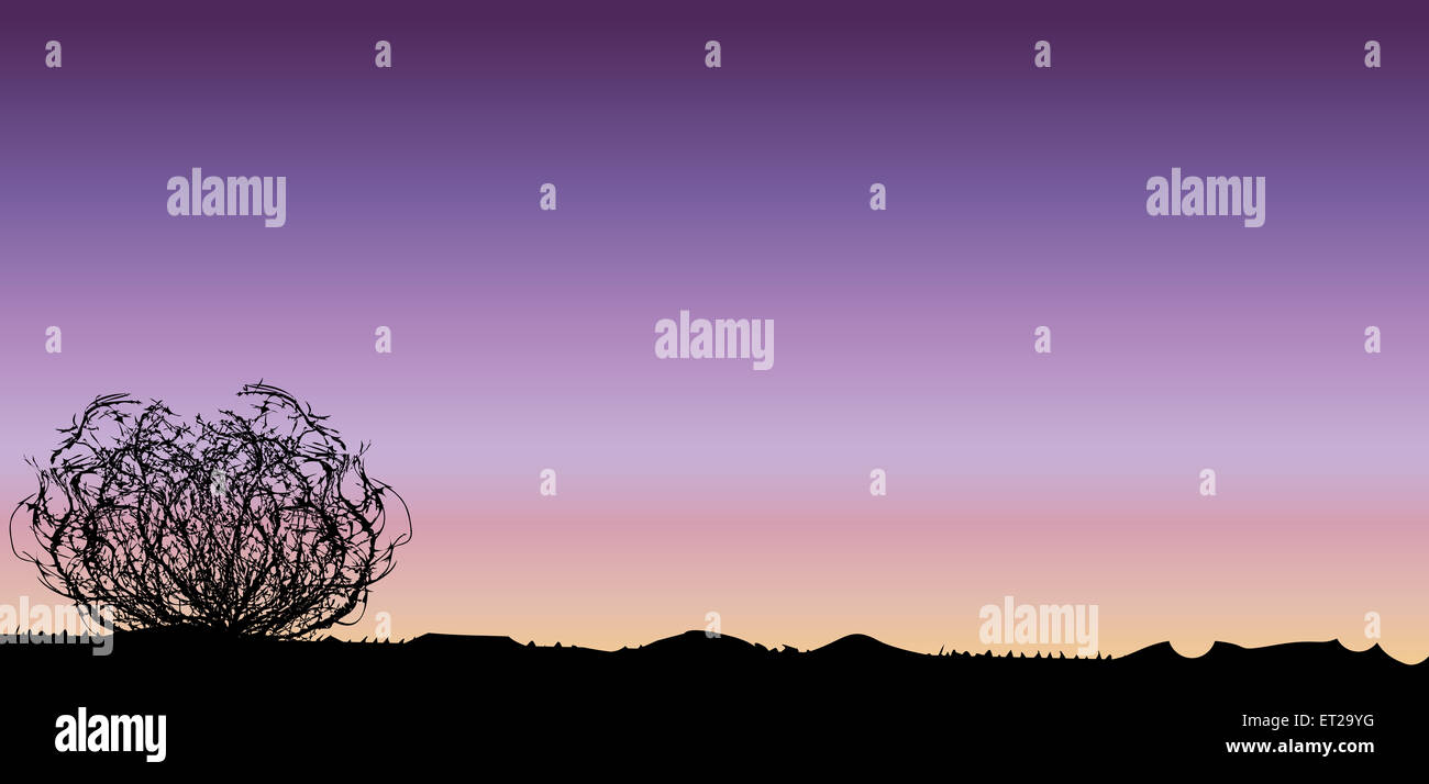 Tumbleweed icon hi-res stock photography and images - Alamy