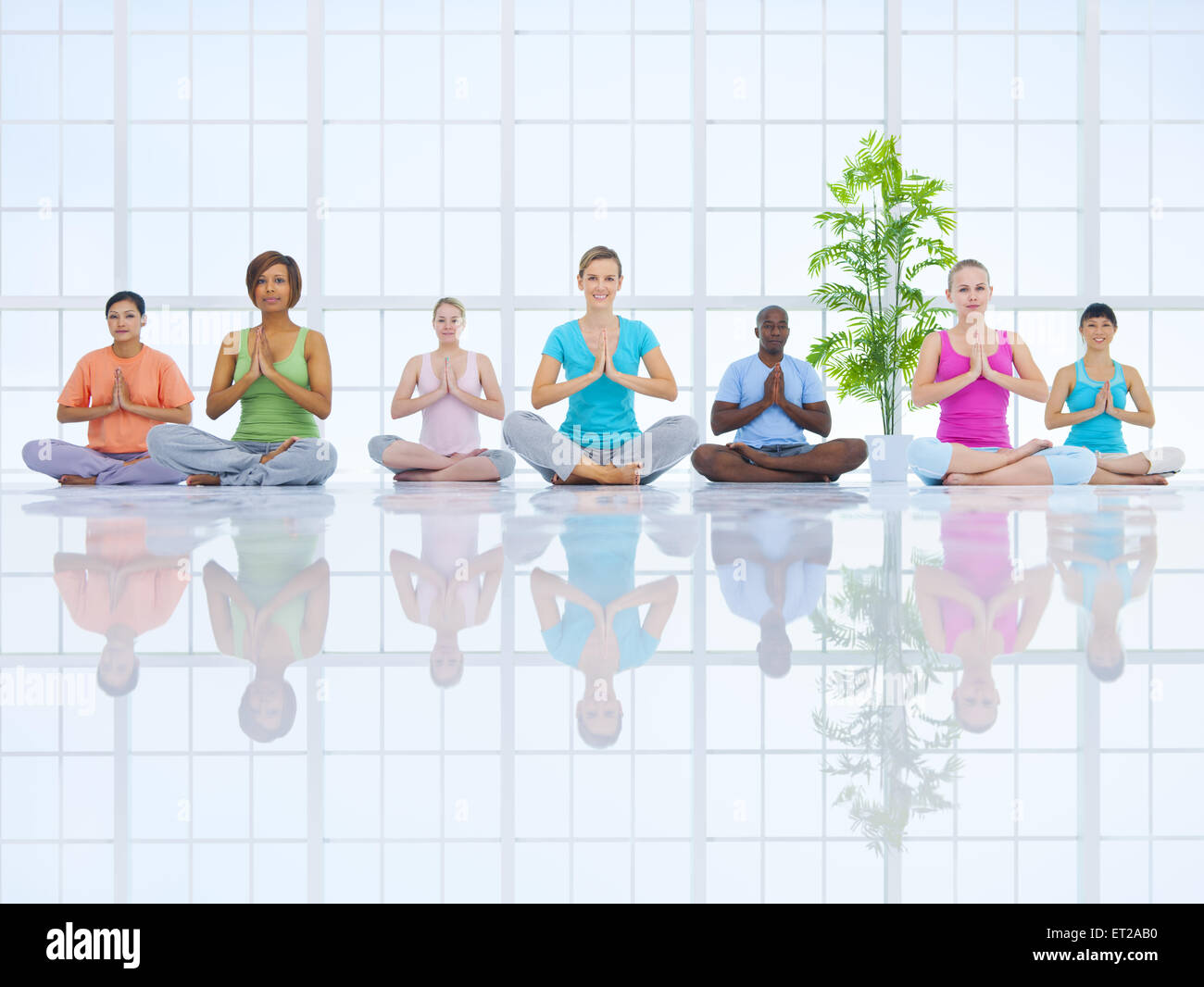 Group of Healthy People in the Fitness Stock Photo - Alamy