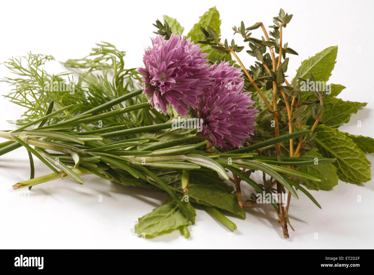Herbs dill hi-res stock photography and images - Alamy