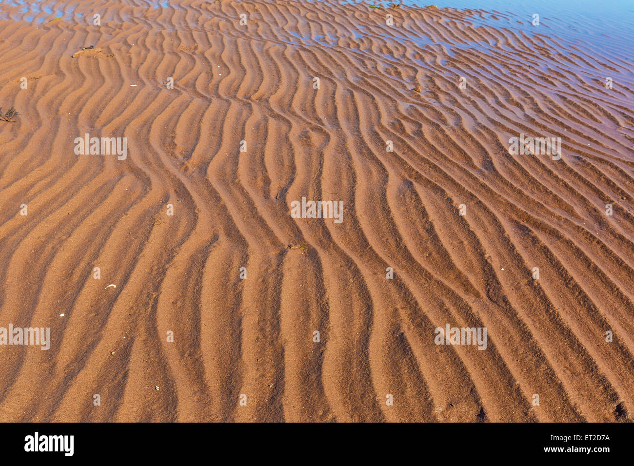 Water ripples on sand hi-res stock photography and images - Alamy