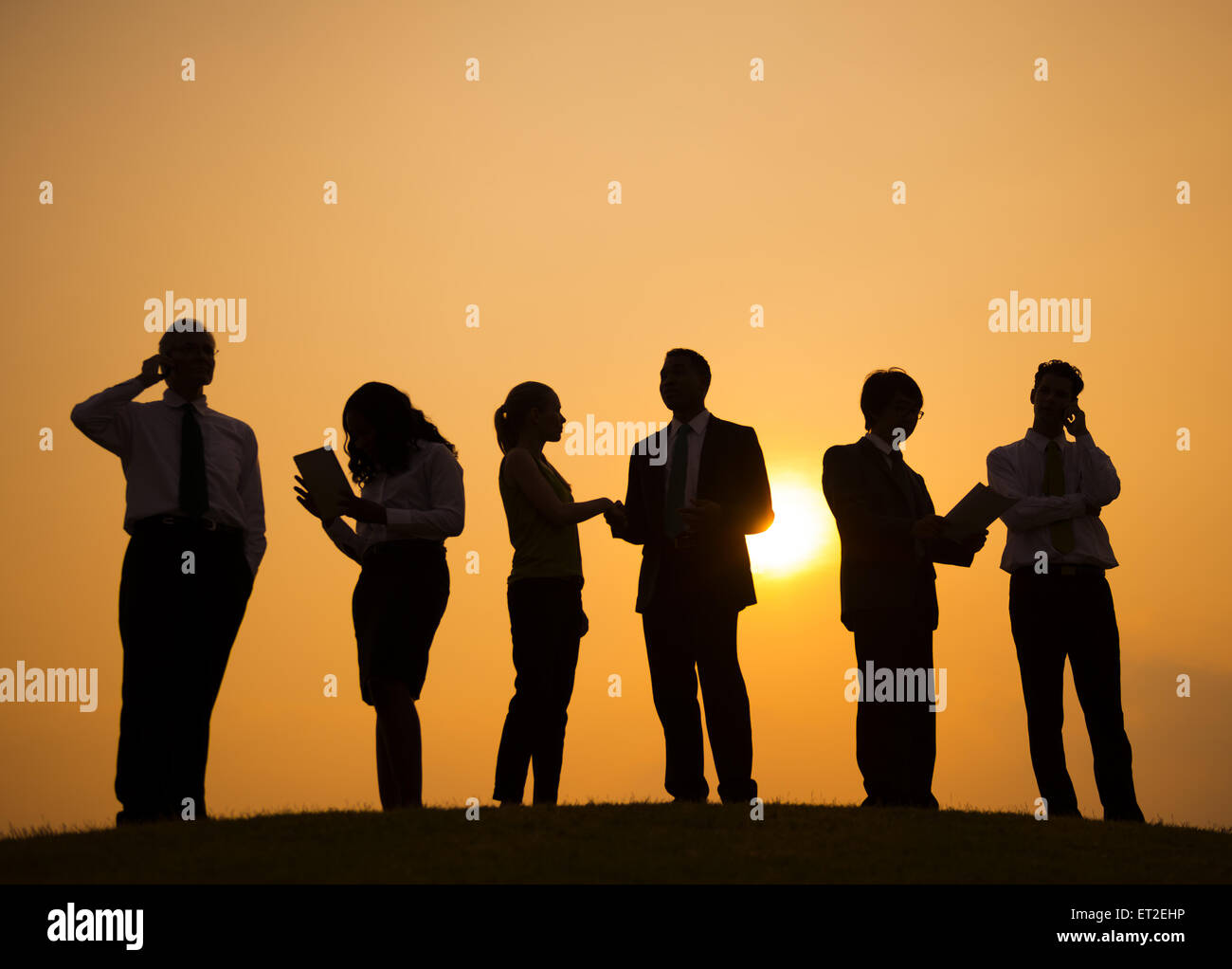 Working on the Field Meeting Collaboration Stock Photo - Alamy