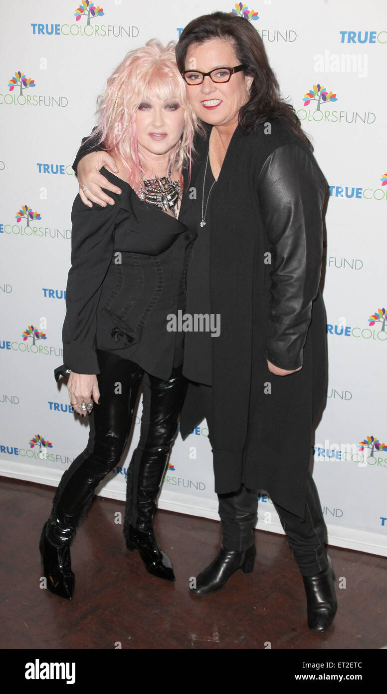 4th Annual Cyndi Lauper And Friends Home For The Holidays Benefit