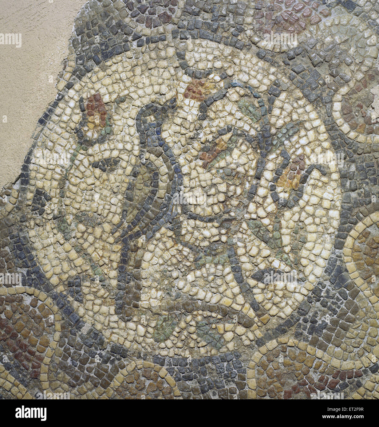 Roman mosaic. Bird. Archaeological Museum. Albacete province. Castile ...