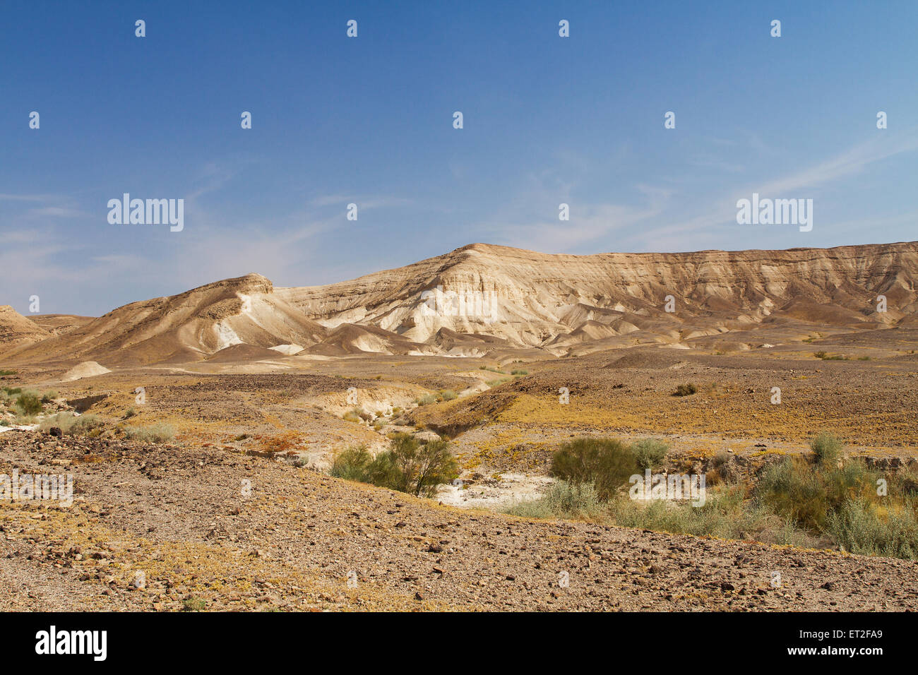 Beautiful photo of dead sea cliffs . Israel Stock Photo - Alamy