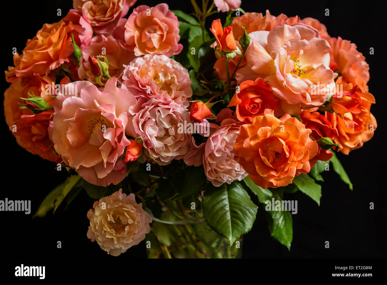 detail of a bouquet of cut blossoming springtime roses with mild warm ...