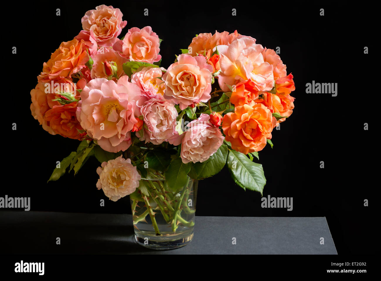 bouquet of cut blossoming springtime roses with mild warm colors, shot ...