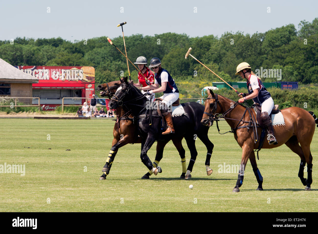 University students polo match Stock Photo - Alamy