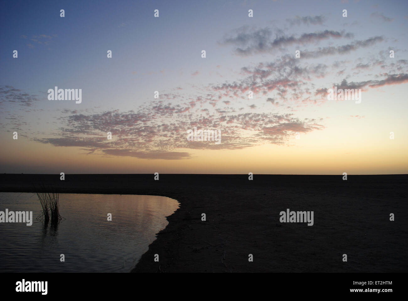 Tide pool on Californian beach Stock Photo - Alamy