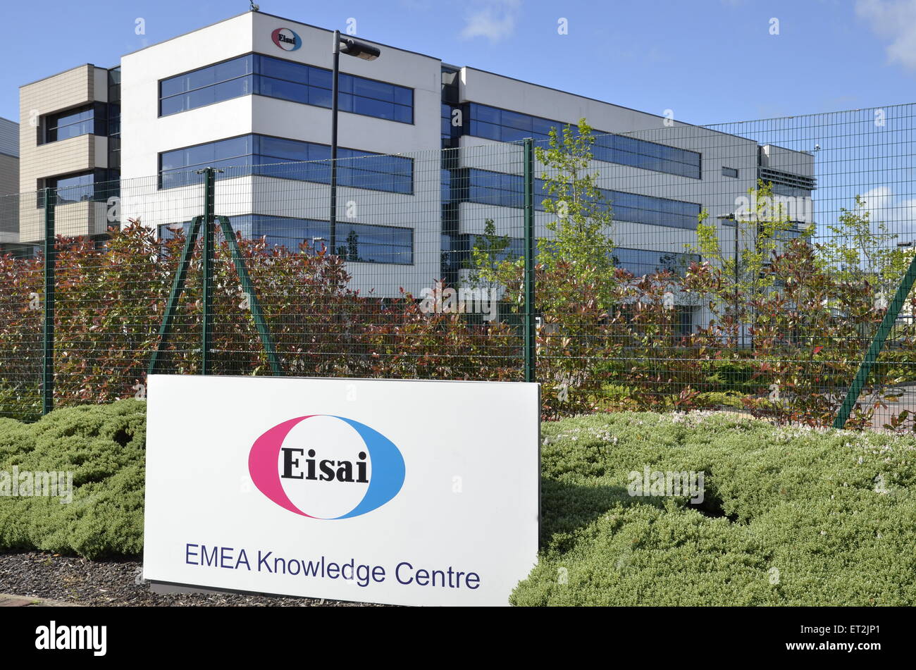 Eisai Stock