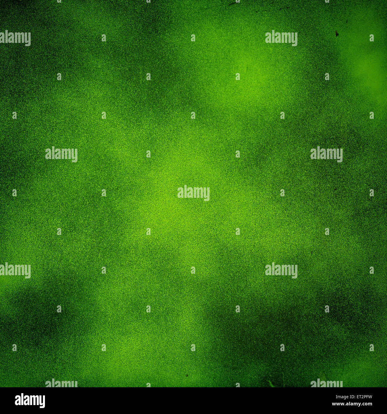 Gree texture hi-res stock photography and images - Alamy