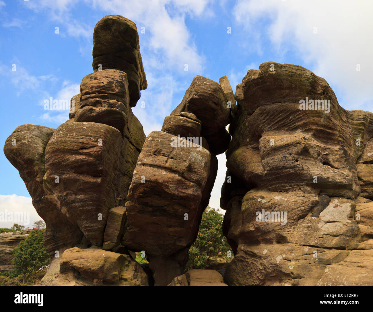 Brimham Rocks, Brimham Moor, a National Trust owned area in North ...