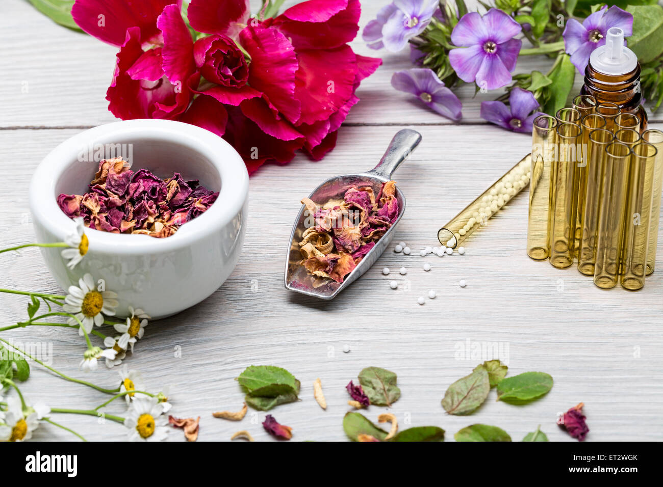 homeopathy lab with herbals and flowers Stock Photo - Alamy