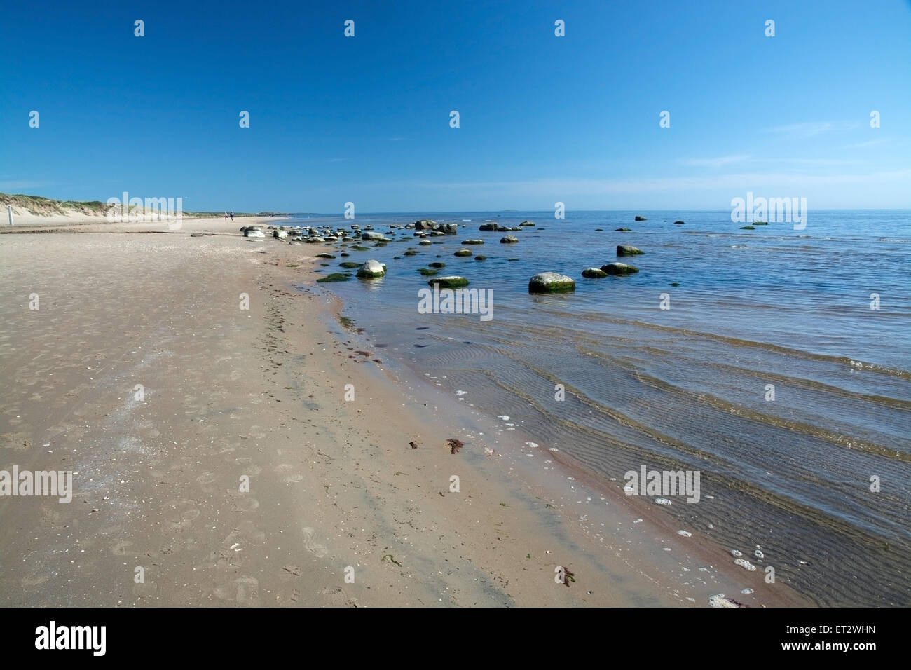 Sandy beach landscape with small rocks in Falkenberg, Sweden Stock ...