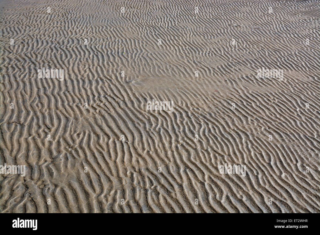 Abstract sand pattern, seaside natural organic landscape detail Stock ...