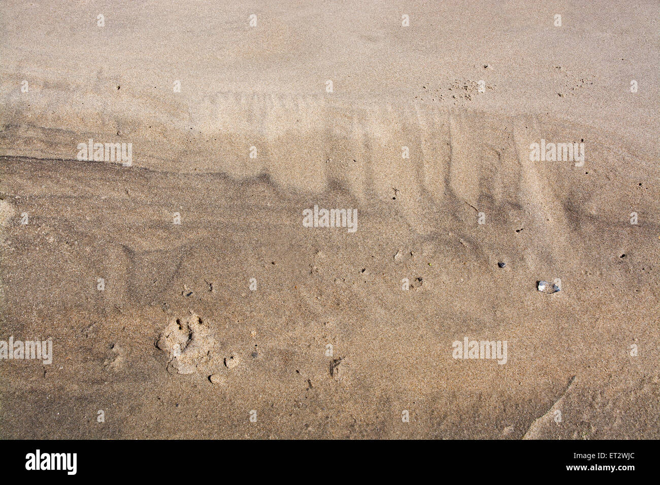Abstract sand pattern, seaside natural organic landscape detail Stock ...