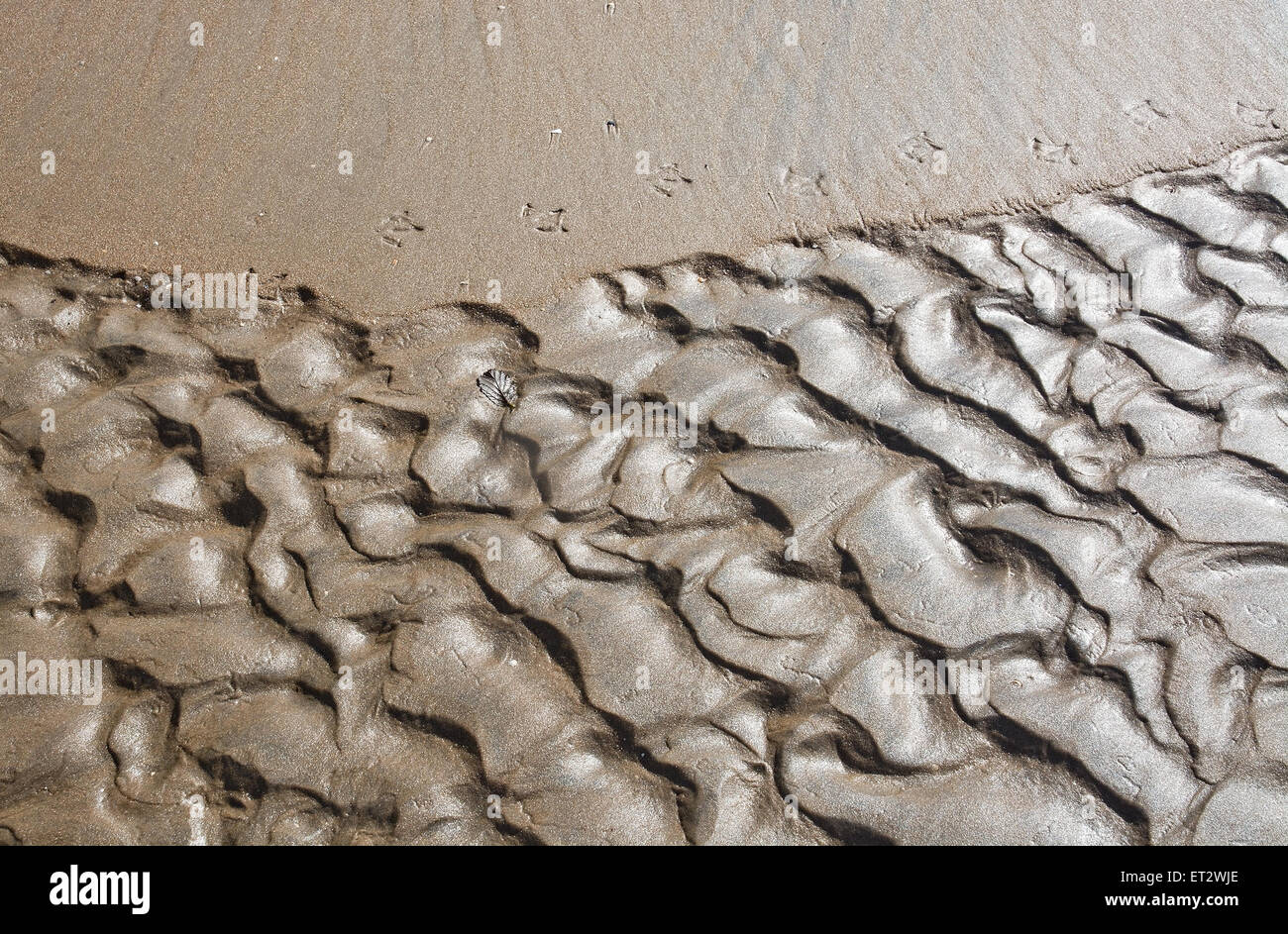 Abstract sand pattern background, seaside natural organic landscape ...
