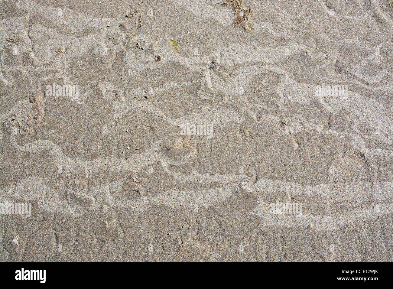 Abstract sand pattern, seaside natural organic landscape detail Stock ...