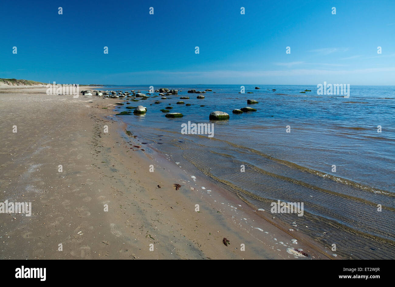 Sandy beach landscape with small rocks in Falkenberg, Sweden Stock ...