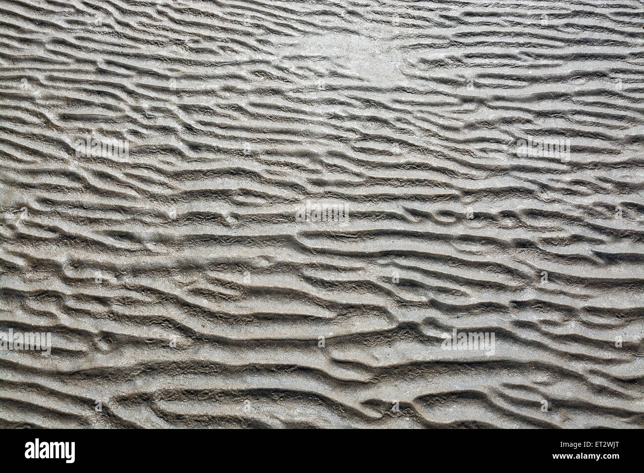 Abstract sand pattern, seaside natural organic landscape detail Stock ...