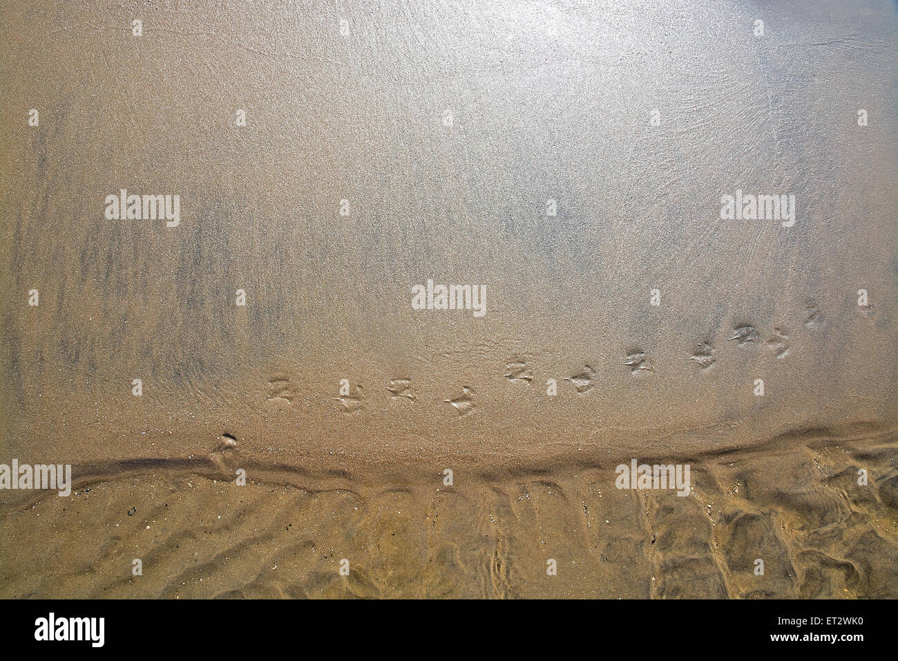 Abstract sand pattern background, seaside natural organic landscape ...