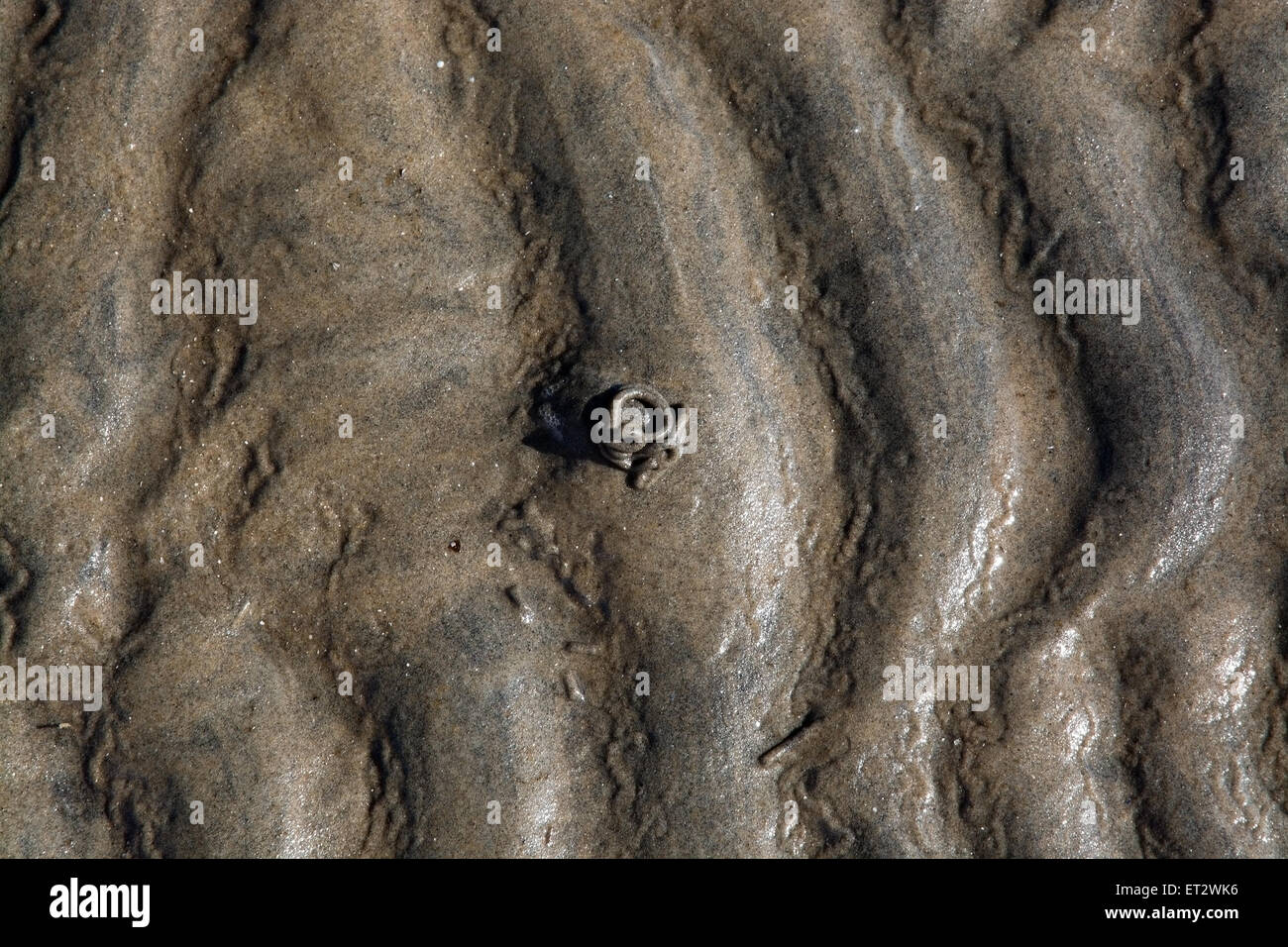Sandworm dune hi-res stock photography and images - Alamy