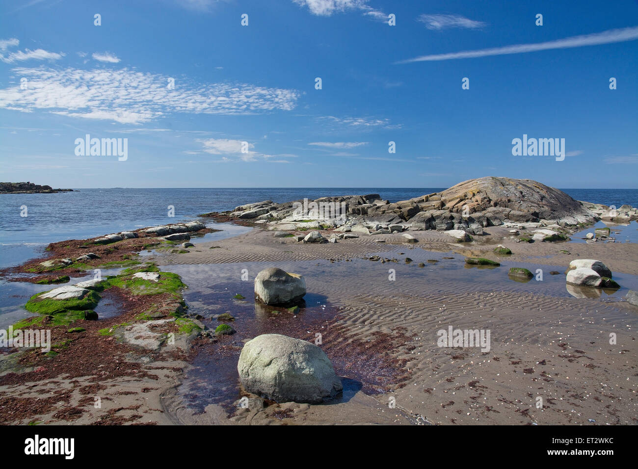 Rocky sandy beach landscape and blue sky in Falkenberg, Sweden Stock ...