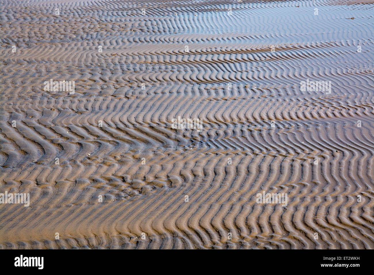 Abstract sand pattern, seaside natural organic landscape detail Stock ...