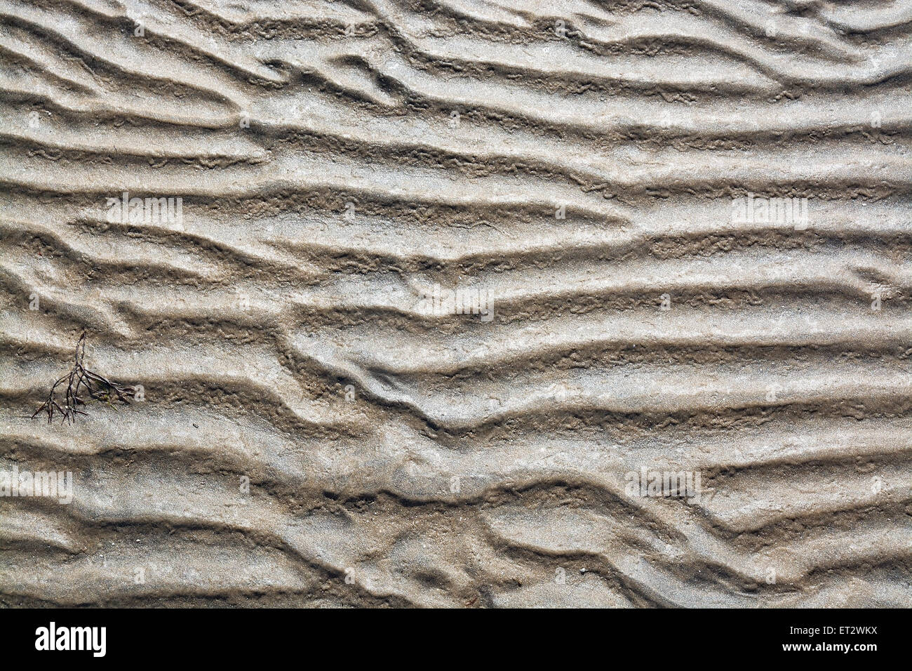 Abstract sand pattern, seaside natural organic landscape detail Stock ...